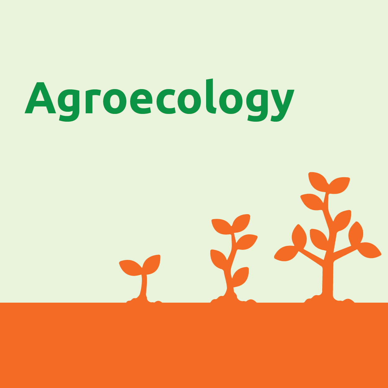 Agroecology | Heinrich-Böll-Stiftung | Rabat - Maroc